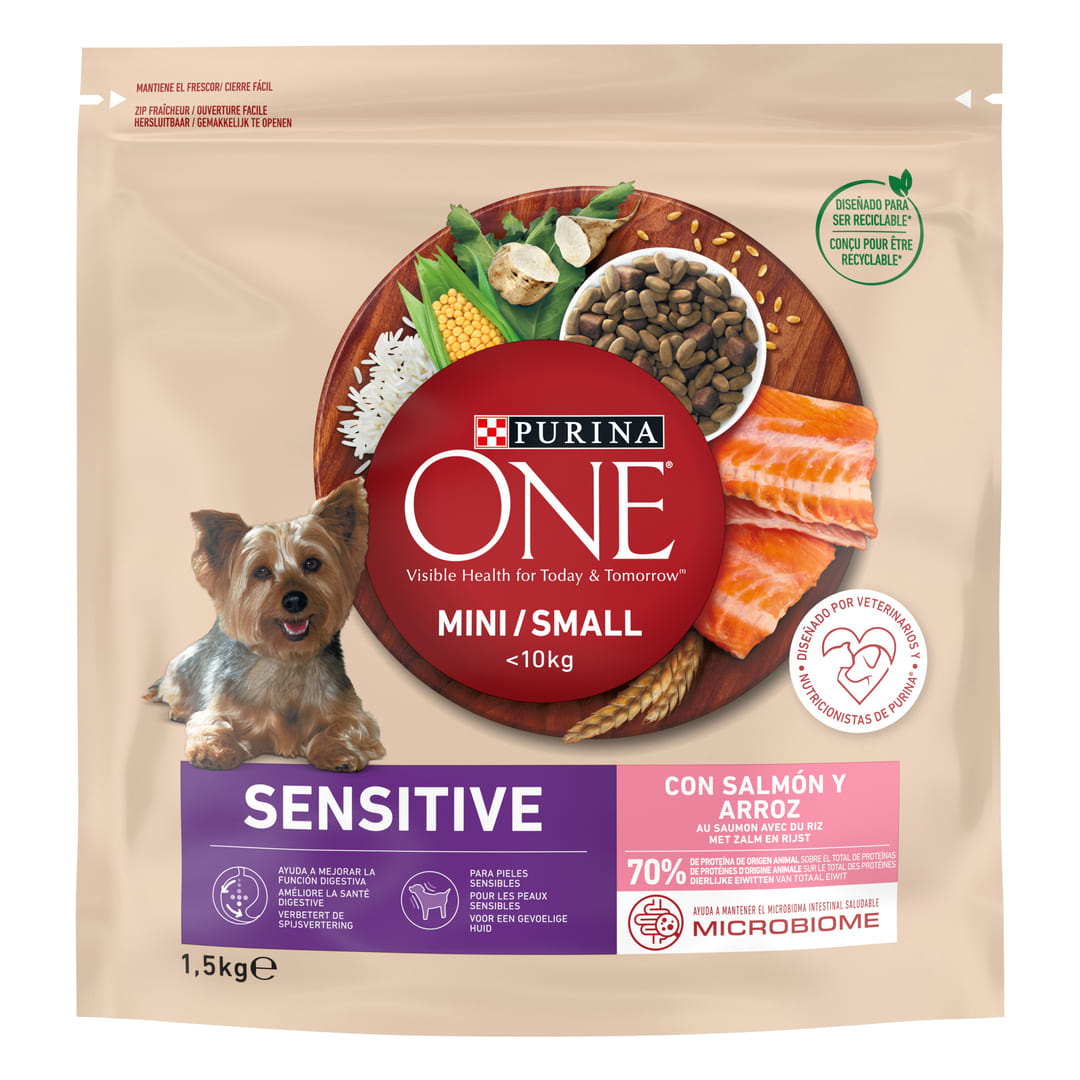 Purina ONE® MINI/SMALL Sensitive rohke lõhe ja riisiga | Purina EE